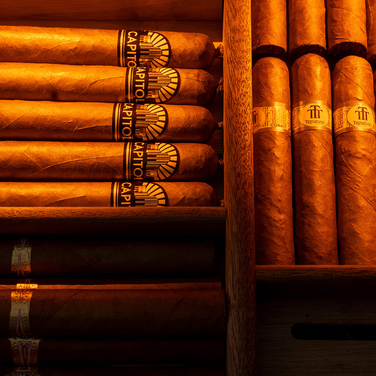 Professioneller humidor elektrisch aus Frankreich | EuroCave | EuroCave